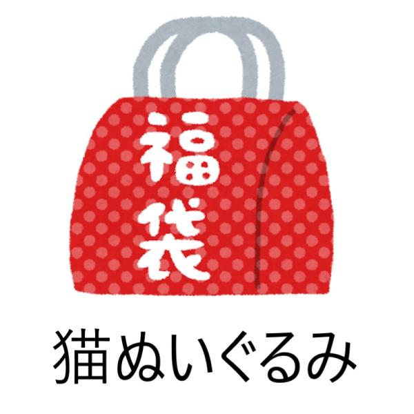 ※必ずお読みください※福袋のためラッピング、ギフト対応は出来ません。ギフト選択をしていてもラッピングやメッセージはなしで出荷いたします。中身のプライス表記もそのままで、テープで隠す等の対応は出来ません。ご注意下さい。福袋のドキドキが好きな人...