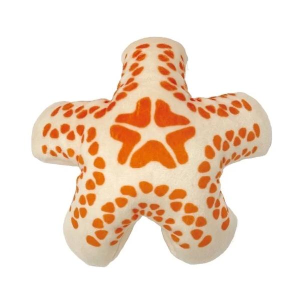 サイズ：約11〜12cm（個体差あります）