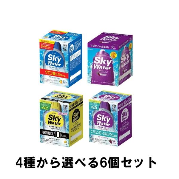 【発売日：2026年03月09日】５種類の中からお好きな味を６個選べます（バラバラでも同じ味でもお好みで選択可能）グレープフルーツ味（10L）グレープ味 FE 鉄分を補給（10L）終売しましたライチ味（10L）終売しましたレモン味（10L）...