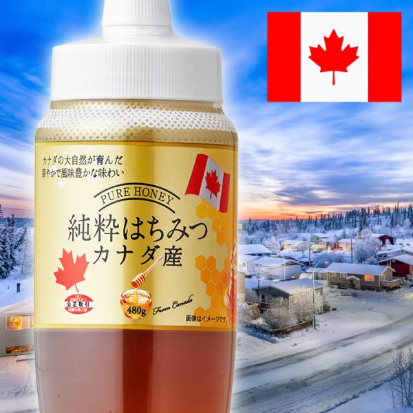 カナダの大自然が育んだ華やかで風味豊かな味わいの蜂蜜です。内容量:500g商品サイズ(高さx奥行x幅):70mm×185mm×70mm使用方法そのままお召し上がりになるか、パン、ヨーグルト等にご利用ください。ご注意（免責）＞ 必ずお読み下さ...