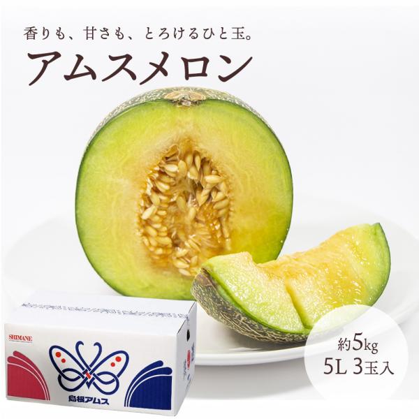 ■商品島根県産アールスメロン■容量1ケース約5kg（5Lサイズ（3玉））■発送時期こちらの商品は期間中順次発送■特徴みずみずしい果汁と上品な甘さが魅力の国産アムスメロンを“箱単位”でお得にお届けします。ムスメロンは、甘さ・香り・果肉のとろけ...