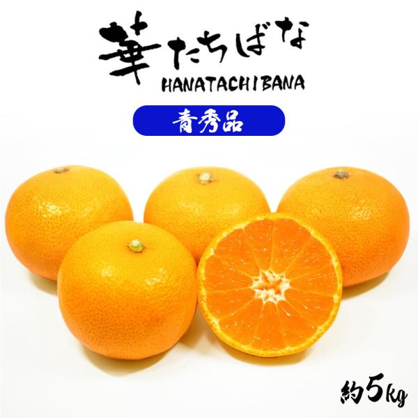 【商品】福岡県産 華たちばなみかん【容量】1ケース 約5kg SもしくはMサイズ ※サイズはお選びいただけません。【発送情報】こちらの商品は12月上旬頃より順次発送いたします。当店(大阪府)より配送に2日以上かかるエリア(北海道・青森県・秋...