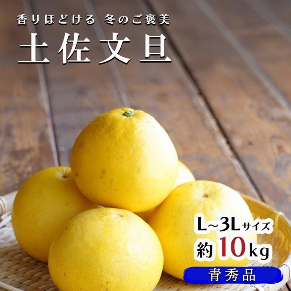 ■商品高知県産 土佐文旦■容量・1ケース約10kg※記載の内容量（kg）は産地規格に基づいた目安です。箱サイズにより設定されており、果実の大きさや水分量など自然の個体差により、実際の重量には多少の前後が生じる場合がございます。■発送時期こち...