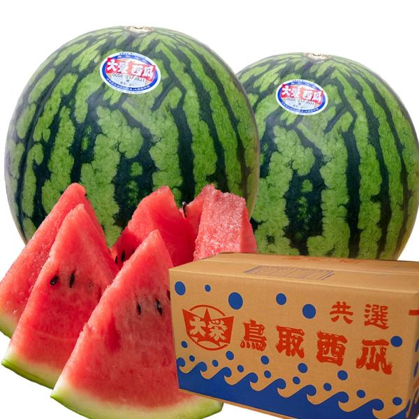 【品種】大栄西瓜（だいえいすいか）【産地】鳥取県産【内容量】1玉約7kg（2Lサイズ）×2玉（計14kg）【発送について】6月上旬頃より順次発送【用途など】お中元 御中元 自宅用 ケース販売 直販 仕入れ 御供 粗供養 御仏前 御霊前 お礼...