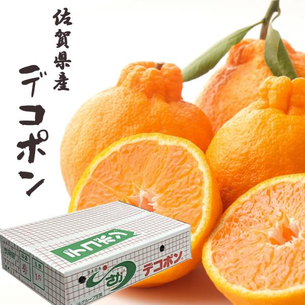 ■商品佐賀県産 デコポン■容量1ケース約5kg（15-18玉）※記載の内容量（kg）は産地規格に基づいた目安です。箱サイズにより設定されており、果実の大きさや水分量など自然の個体差により、実際の重量には多少の前後が生じる場合がございます■特...