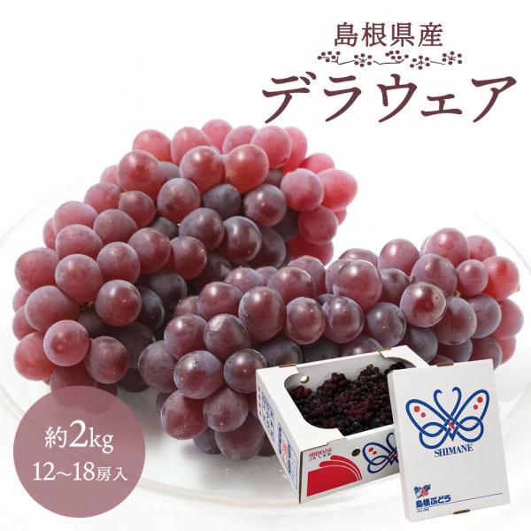 ■商品島根県産 デラウェア■容量1ケース約2kg（12〜18房入り）※記載の内容量（kg）は果実の大きさや水分量など自然の個体差により、実際の重量には多少の前後が生じる場合がございます。■特徴島根県は西日本有数のぶどう産地として知られ、中で...