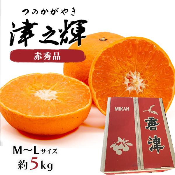 ■商品佐賀県産 津之輝（つのかがやき）■容量・1ケース 約5kg M〜Lサイズ（約32〜40玉） 入り数は若干前後します ※記載の内容量（kg）は産地規格に基づいた目安です。箱サイズにより設定されており、果実の大きさや水分量など自然の個体差...
