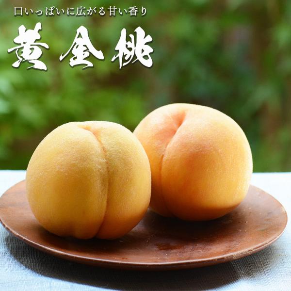 ■商品黄金桃（ゴールデンピーチ）■容量赤秀(11〜12玉)約3kg■発送時期こちらの商品は7月下旬頃より順次発送いたします。■特徴黄金桃は、果皮も果肉も美しい黄金色が特長の夏限定の希少な桃です。一般的な白桃よりも果肉がしっかりしていて、香り...