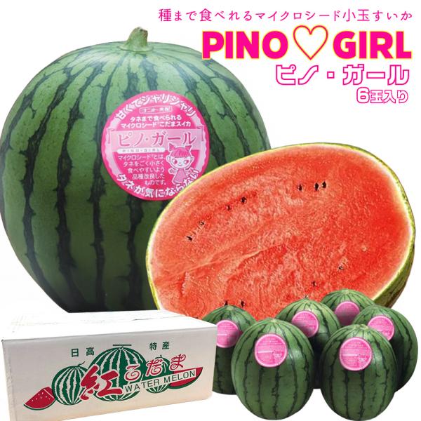 【品種】小玉すいか ピノ・ガール【産地】熊本 和歌山 山形 など産地リレー方式【内容量】・Mサイズ 6玉 計約7.2kg（1ケースでのお届け）【発送について】6月中旬頃より順次発送小玉すいか「ピノ・ガール」はなんと言ってもタネを極限まで小さ...