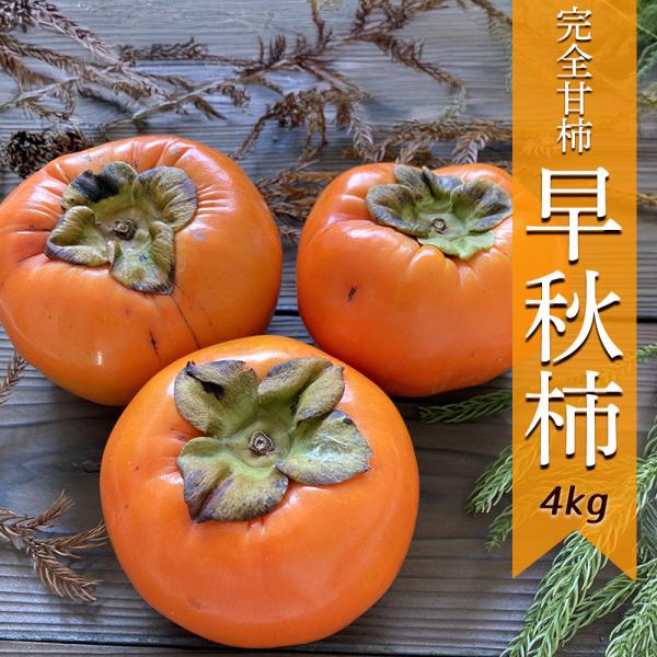 ■商品福岡県産 早秋柿（そうしゅうがき）■容量1ケース約4kg (12〜20玉入)※記載の内容量（kg）は産地規格に基づいた目安です。箱サイズにより設定されており、果実の大きさや水分量など自然の個体差により、実際の重量には多少の前後が生じる...