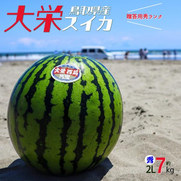 【品種】大栄西瓜（だいえいすいか）【産地】鳥取県産【内容量】1玉約7kg【発送について】7月上旬頃より順次発送鳥取県北栄町（旧・大栄町）は、全国有数のスイカの名産地。この地で育つ「大栄西瓜」は、その名の通り“大きくて栄える”存在感抜群のブラ...