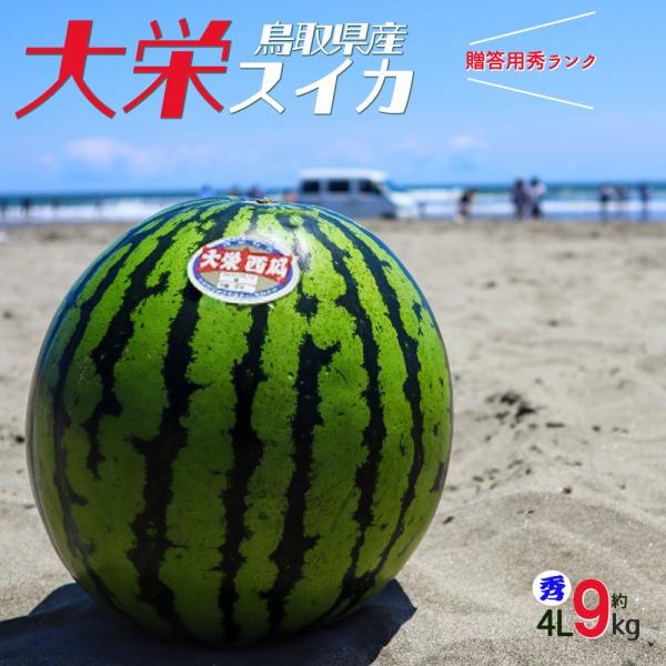 【品種】大栄西瓜（だいえいすいか）【産地】鳥取県産【内容量】1玉約9kg（4Lサイズ）【発送について】7月上旬頃より順次発送鳥取県北栄町（旧・大栄町）は、全国有数のスイカの名産地。この地で育つ「大栄西瓜」は、その名の通り“大きくて栄える”存...