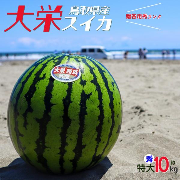 【品種】大栄西瓜（だいえいすいか）【産地】鳥取県産【内容量】1玉約10kg（特大サイズ）【発送について】7月上旬頃より順次発送鳥取県北栄町（旧・大栄町）は、全国有数のスイカの名産地。この地で育つ「大栄西瓜」は、その名の通り“大きくて栄える”...