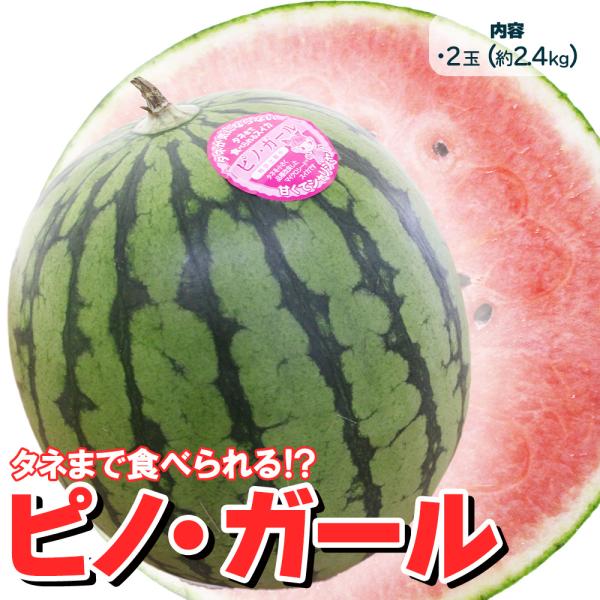 商品：和歌山県産 他 小玉すいか 「ピノ・ガール」内容：1玉 1.2kg相当 Mサイズ 2玉入り発送時期：本商品は6月中旬から順次発送いたします。　　　　　※農作物ですので、お届けのご希望を承ることが出来かねます。ご不便をおかけしますがご理...