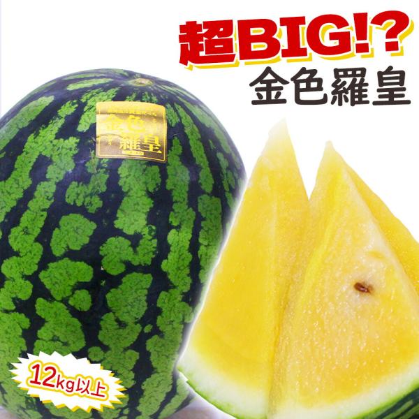 【品種】金色羅王（こんじきらおう）【産地】熊本 鳥取 和歌山 山形【内容量】1玉約12kg以上【発送について】入荷次第発送甘味を追求したスイカで糖度が高く強い甘味のあるシャリシャリとした食感のよいスイカです。また、黄色いスイカの特徴であるさ...