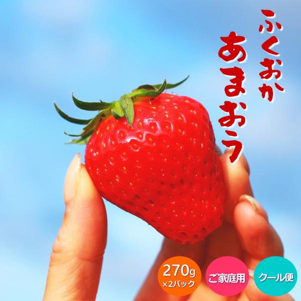 ■商品福岡県産 あまおう 1ケース約540g (270g×2パック)※記載の内容量（g）は産地規格に基づいた目安です。箱サイズにより設定されており、果実の大きさや水分量など自然の個体差により、実際の重量には多少の前後が生じる場合がございます...