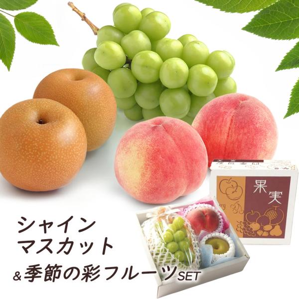 ■商品シャインマスカットと夏の彩フルーツセット■選べる容量シャインマスカット1房（約400g） 梨1個 桃1個（各約250g）※果実の大きさや水分量など自然の個体差により、実際の重量には多少の前後が生じる場合がございます。■発送時期期間中順...