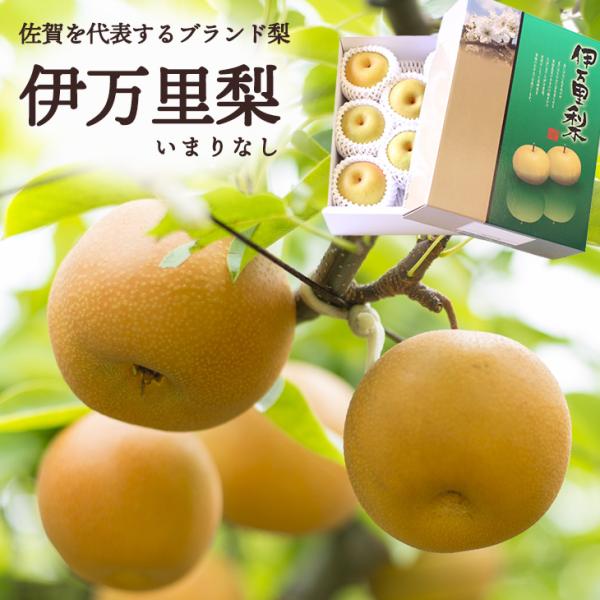 ■商品伊万里梨（佐賀県産）化粧箱入り■容量1ケース（6〜8玉）約2kg※記載の内容量（kg）は産地規格に基づいた目安です。箱サイズにより設定されており、果実の大きさや水分量など自然の個体差により、実際の重量には多少の前後が生じる場合がござい...