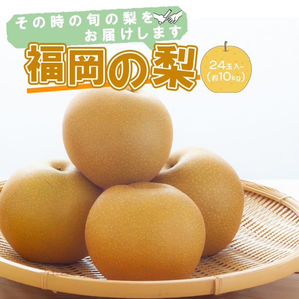 ■商品ご家庭用 福岡県の梨 小玉 品種リレー■容量24〜32玉入（約10kg）ケース販売※記載の内容量（kg）は果実の大きさや水分量など自然の個体差により、実際の重量には多少の前後が生じる場合がございます。■発送＆特徴期間中順次お届けいたし...