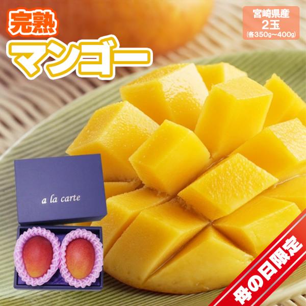 【商品】宮崎県産完熟マンゴー【容量】2玉 各約350~450g【発送時期】こちらの商品は、規定期間内に順次発送致します。農作物のため日時指定をお受けすることができかねます。ご理解の程よろしくお願いいたします。