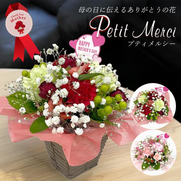 商品詳細商品名：母の日 メルシーアレンジメント花材：カーネーション、アルストロメリア、スプレーバラ、ヒペリカム、カスミソウ、グリーンサイズ：高さ22cm 幅20cm 奥行20cm ※お花ですので個体差がありますご注意下さい：メッセージカード...