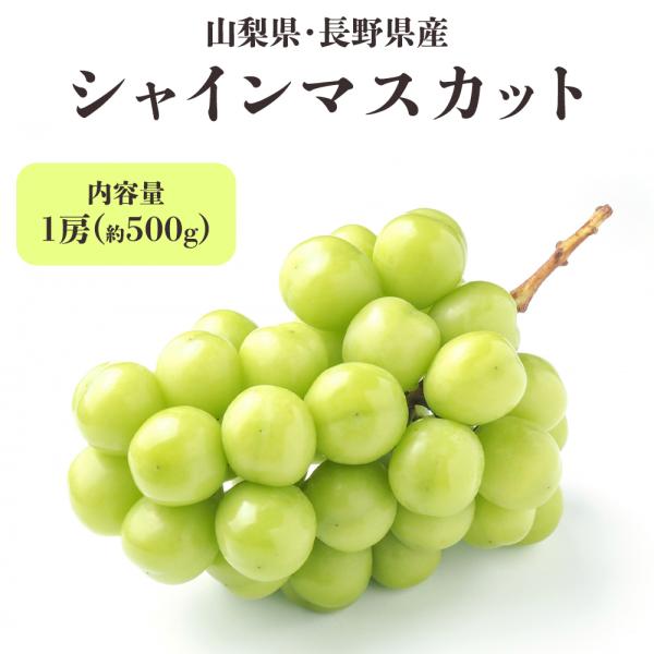 ■商品内容山梨県・長野県産 シャインマスカット 1房（約500g） ■この商品の特徴 粒で種無しで皮ごと食べられるシャインマスカット。酸味も少なく糖度も高いことがあいまってとても強い甘さを感じることができるぶどうです。「パリッ！」「サクッ！...