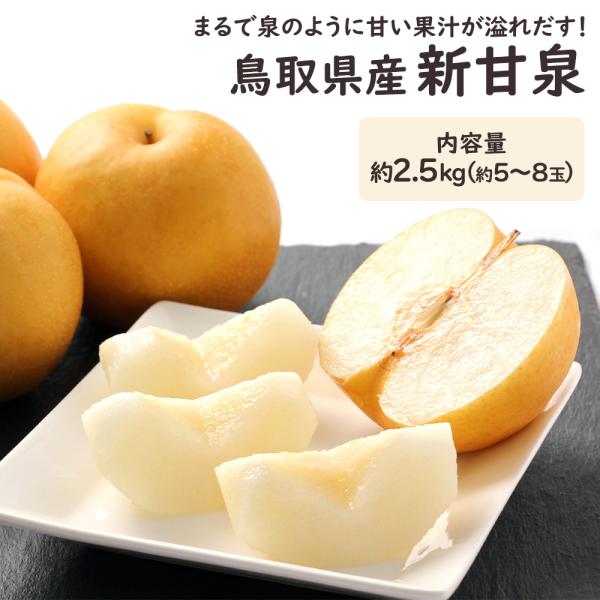 ■商品鳥取県産「新甘泉」■容量約2.5kg(5〜8玉入)化粧箱入り■発送時期こちらの商品入荷次第、市場より直送させていただきます。■特徴「新甘泉（しんかんせん）」は、平成20年に品種登録された鳥取県生まれの生産量が限られ、旬の時期も短い希少...