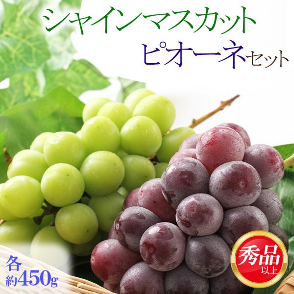 【商品】シャインマスカット＆ピオーネセット【容量】・シャインマスカット 450g　・ピオーネ 450g【発送時期】こちらの商品は、7月上旬頃から順次発送いたします。農作物のため日時指定をお受けすることができかねます。ご理解の程よろしくお願い...