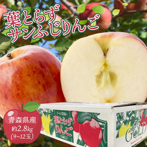 【商品名】葉とらずサンふじ【産　地】青森県産【商品内容】総重量約2kg9~12玉になります