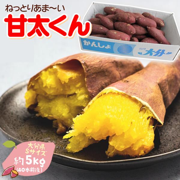【商品名】甘太くん Sサイズ【産　地】大分県産【総重量】約5kg (40本前後)【発送時期】12月上旬より順次発送