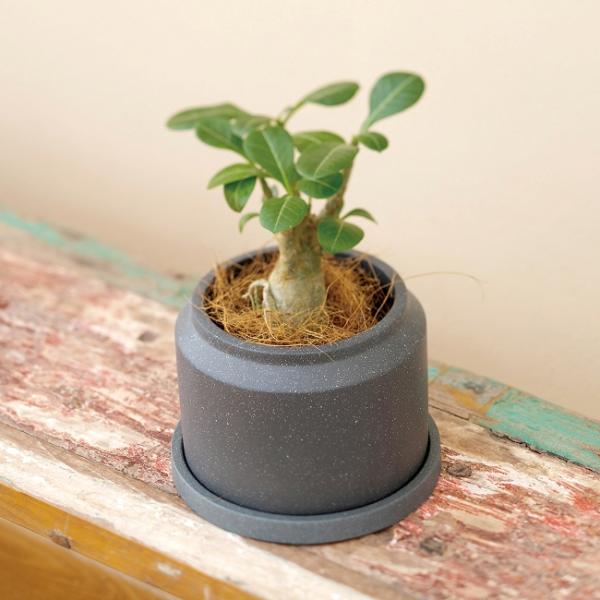 セメント素材にシンプルな色付けをした植木鉢！インテリアに馴染みやすく仕上げたカジュアルなデザインで、中に入れる植物を引き立ててくれます。カラー：ライトグレー、ダークグレーサイズ：φ150×H110mm材質：セメント原産国：中国※底穴あり、受...