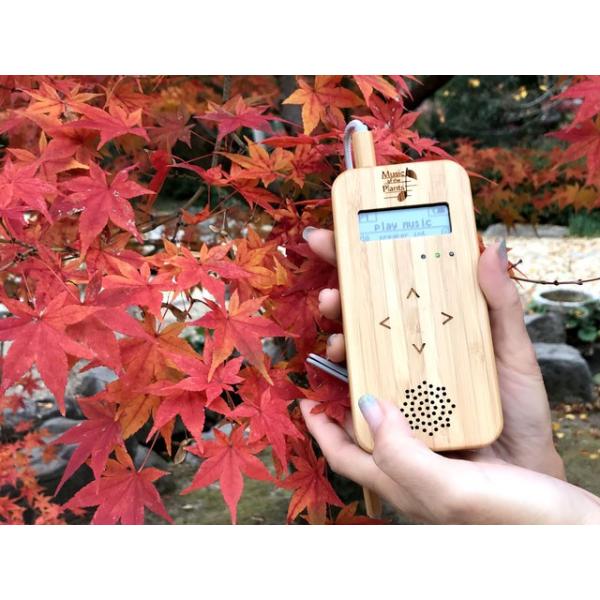 セット内容：本体、植物コネクトケーブル１本、マイクロUSBケーブル１本※ACアダプタは付属していませんが、お手元のUSBーACアダプタや、パソコンのUSB端子で充電できます。１回のフル充電で４−５時間の利用が可能です。 イタリアのスピリチュ...