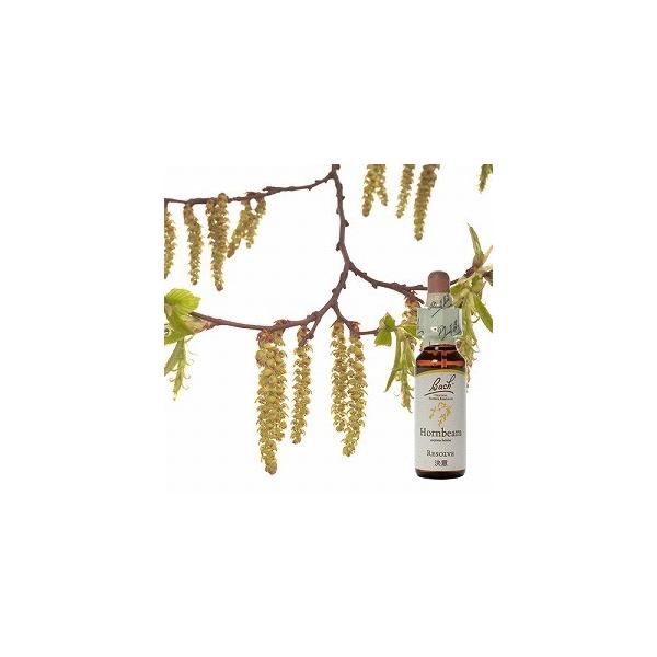 内容量・成分原材料10ml /ホーンビーム、水、グリセリン /ノンアルコール▼飲んだ後に期待される状態自分の能力に対する自信を回復出来、一見無理だと思えるようなことにも立ち向かって行けるようになります。