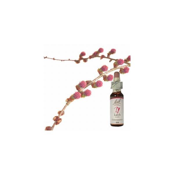 内容量・成分原材料10ml /ラーチ、水、グリセリン /ノンアルコール▼飲んだ後に期待される状態自信がよみがえります。失敗してもそれを乗り越えられるので、新しいことに積極的にチャレンジする勇気もわいてきます。