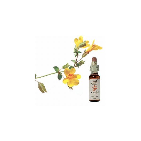 内容量・成分原材料10ml /ミムラス、水、グリセリン /ノンアルコール▼飲んだ後に期待される状態心が落ち着き、不安や心配と立ち向かおうとする内面の強さが出てきます。人の交流に明るさと積極性を持って楽しめるようになります。