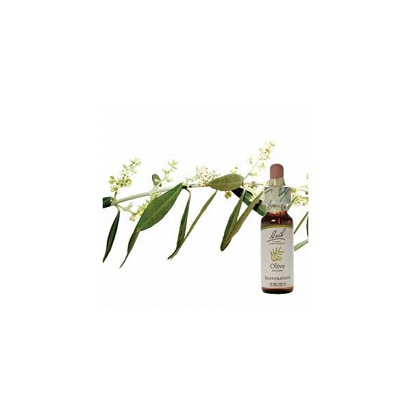 内容量・成分原材料10ml /オリーブ、水、グリセリン /ノンアルコール▼飲んだ後に期待される状態活力と元気を取り戻せます。プレッシャーやストレスに強くなれるので、日常生活に楽しみや喜びを見出だせるようになります。
