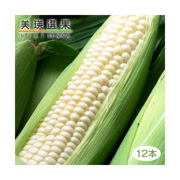 ●生育状況により発送日に遅れが生じる場合がございます。●：配達希望時間のみご指定いただけます。(配達日の指定はおうけできません)：品種の指定はできません。北海道でとうもろこしは、「とうきび」と一般的に呼ばれています。昼夜の寒暖差の大きい美瑛...