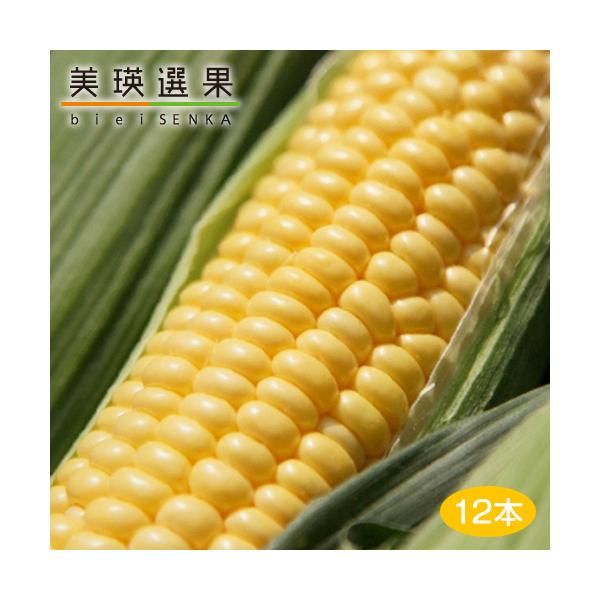 ●生育状況により発送日に遅れが生じる場合がございます。●：配達希望時間のみご指定いただけます。(配達日の指定はおうけできません)：品種の指定はできません。北海道でとうもろこしは、「とうきび」と一般的に呼ばれています。昼夜の寒暖差の大きい美瑛...