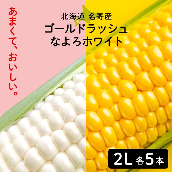 【発売日：2026年07月20日】名寄地域のとうもろこしのおいしさの理由はこの地域の気候の特徴である昼夜の寒暖差にありますとうもろこしは、昼間に太陽の恵みをいっぱい浴びて成長し、夜間太陽が沈んでいる間にエネルギーを蓄えますこの地域は夏でも夜...