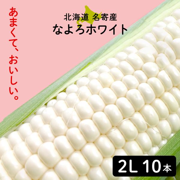【発売日：2026年07月20日】名寄地域のとうもろこしのおいしさの理由はこの地域の気候の特徴である昼夜の寒暖差にありますとうもろこしは、昼間に太陽の恵みをいっぱい浴びて成長し、夜間太陽が沈んでいる間にエネルギーを蓄えますこの地域は夏でも夜...