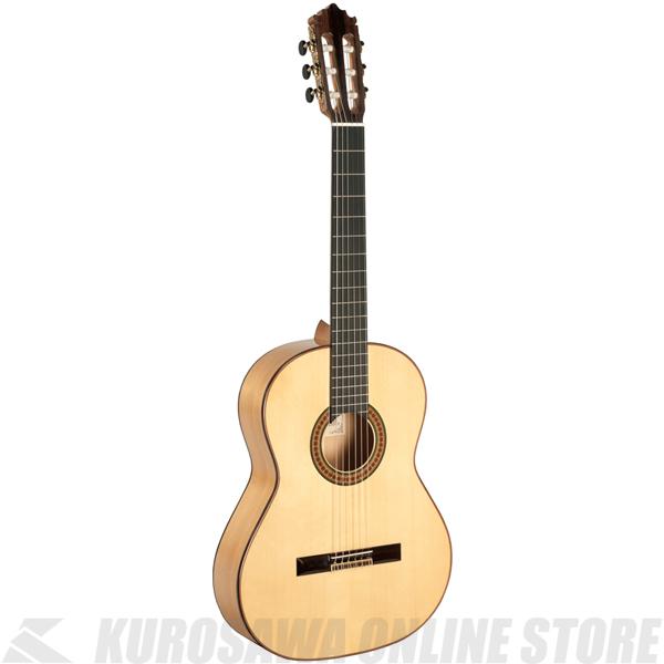 フラメンコギター パコカスティーの人気商品・通販・価格比較 - 価格.com