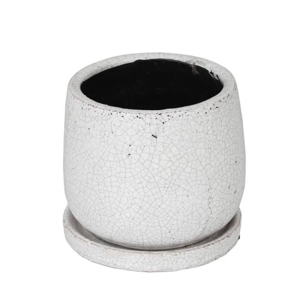 サイズ：Pot: H.170mm φ200mm  材質：テラコッタ