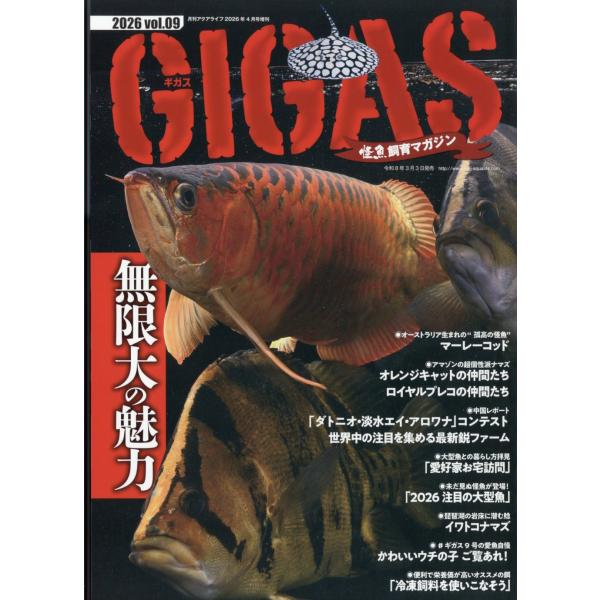 出版社名：エムピージェー発行年月：20260303雑誌コード：01456キーワード：カイギョ　シイク　マガジン　ギガス