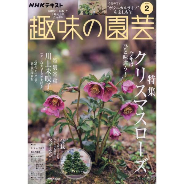 出版社名：ＮＨＫ出版発行年月：20260121雑誌コード：06457キーワード：エヌエイチケー　シュミノエンゲイ