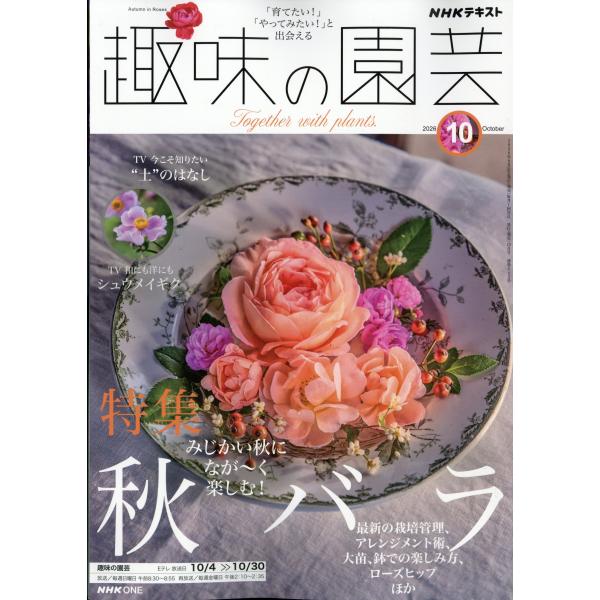 出版社名：ＮＨＫ出版発行年月：20260918雑誌コード：06457キーワード：エヌエイチケー　シュミノエンゲイ