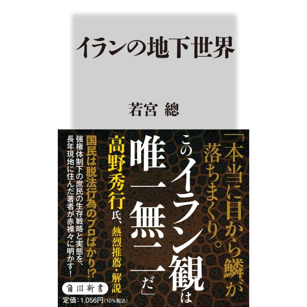 出版社名：ＫＡＤＯＫＡＷＡ著者名：若宮總シリーズ名：角川新書発行年月：2024年05月キーワード：イラン ノ チカ セカイ、ワカミヤ,サトシ