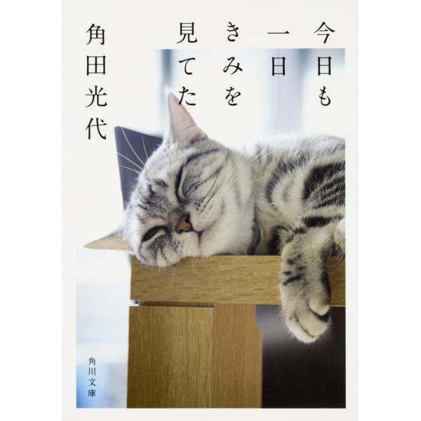 出版社名：ＫＡＤＯＫＡＷＡ著者名：角田光代シリーズ名：角川文庫発行年月：2017年06月キーワード：キョウ モ イチニチ キミ オ ミテタ、カクタ,ミツヨ