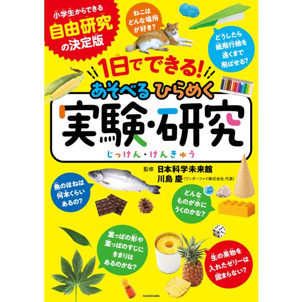 出版社名：ＫＡＤＯＫＡＷＡ著者名：日本科学未来館、川島慶発行年月：2026年07月キーワード：イチニチ デ デキル アソベル ヒラメク ジッケン ケンキュウ、ニッポン カガク ミライカン、カワシマ,ケイ