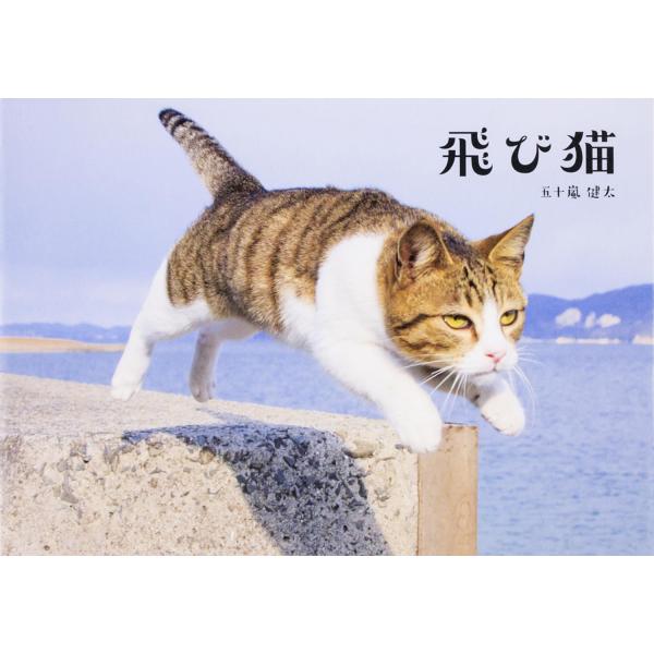 出版社名：ＫＡＤＯＫＡＷＡ著者名：五十嵐健太発行年月：2015年03月キーワード：トビネコ、イガラシ,ケンタ