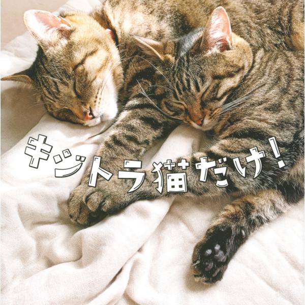 出版社名：東京ニュース通信社、講談社著者名：「キジトラ猫だけ！」編集チーム発行年月：2020年09月キーワード：キジトラネコ ダケ、「キジトラネコダケ!」ヘンシュウチーム